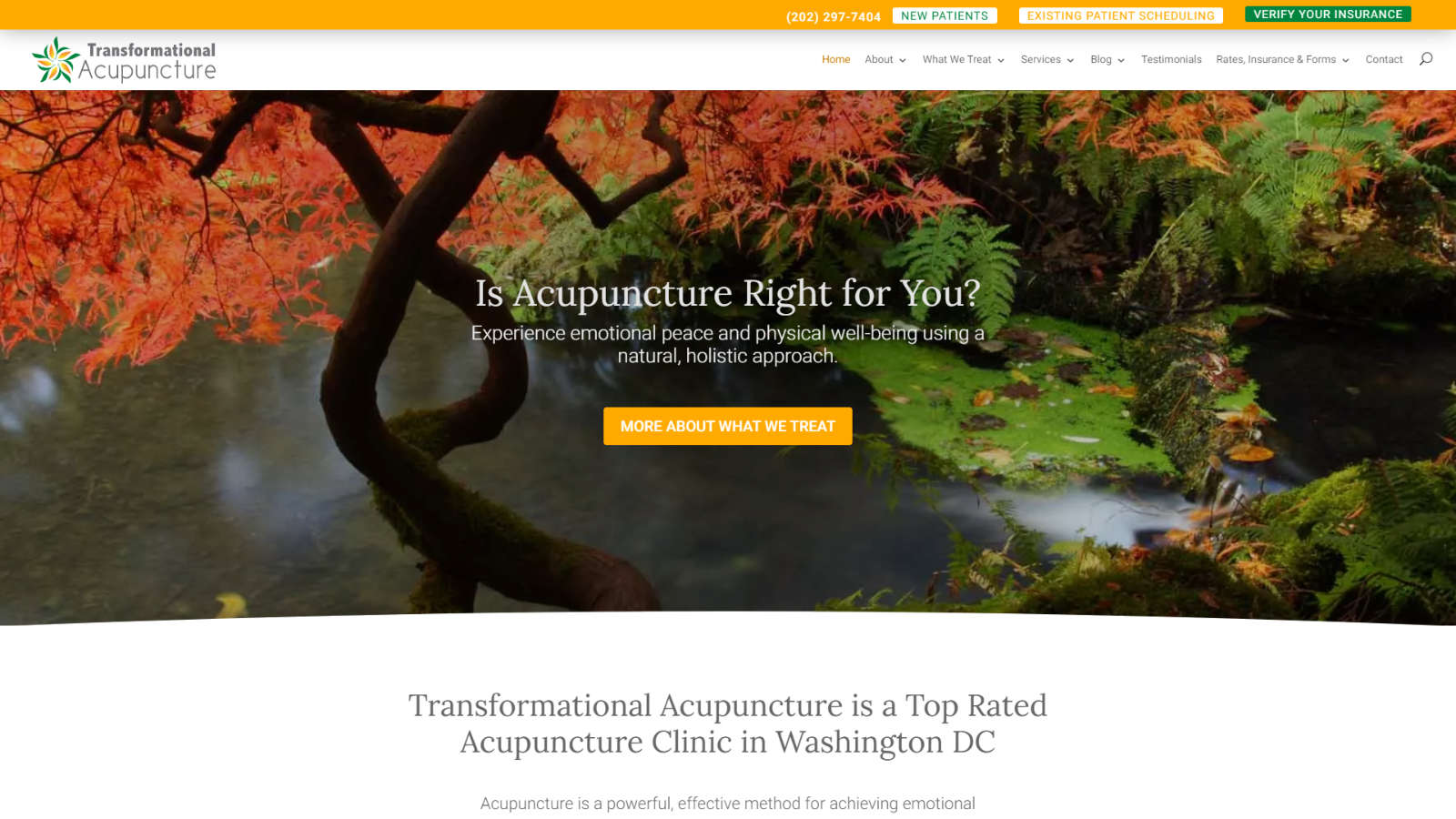 Transformational Acupuncture Website Redesign Project